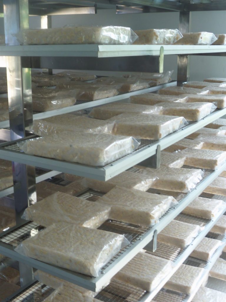 Pabrik Tempe